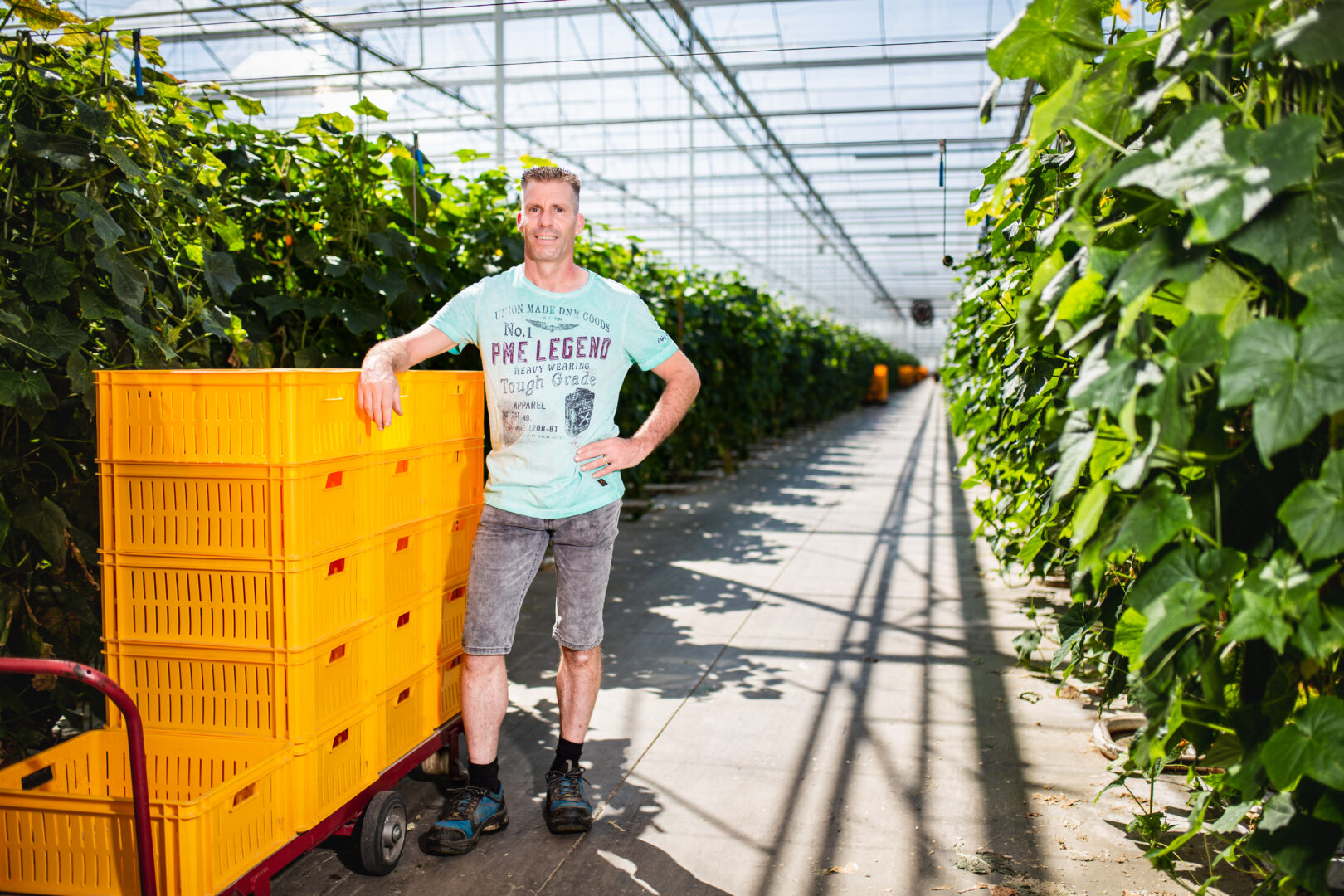 Glastuinbouwbedrijf is duurzamere onderneming - Energy Shift
